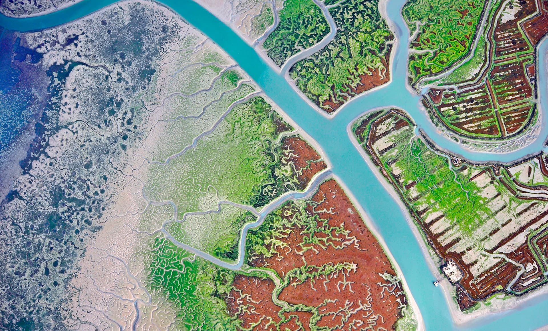 Salt Marshes - Knowledge Hub - ESA